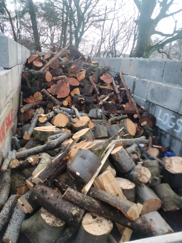 Unprocessed Logs & Firewood | in Cambuslang, Glasgow | Gumtree