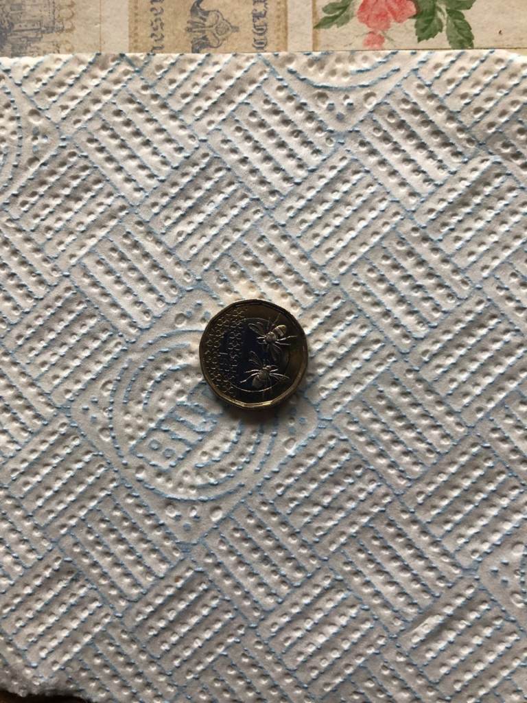 £1 King Charles coin | in Delph, Manchester | Gumtree