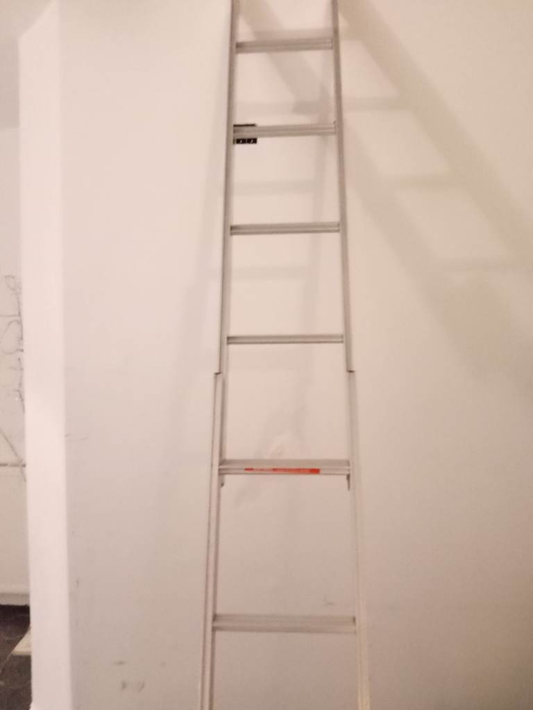 Two tier ladder | in Hartlepool, County Durham | Gumtree