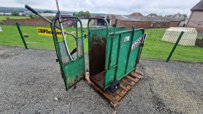 Large iae calf dehorning vaccination crate crush farm livestock tractor ...