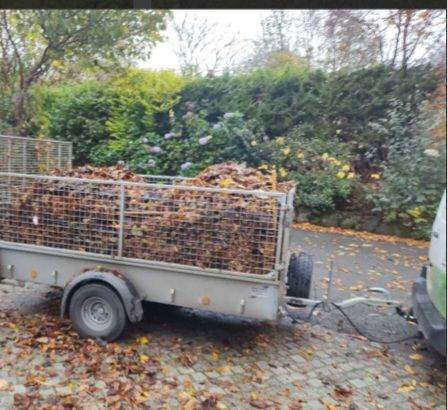 Free Stuff & Freebies in Prudhoe, Northumberland - Gumtree
