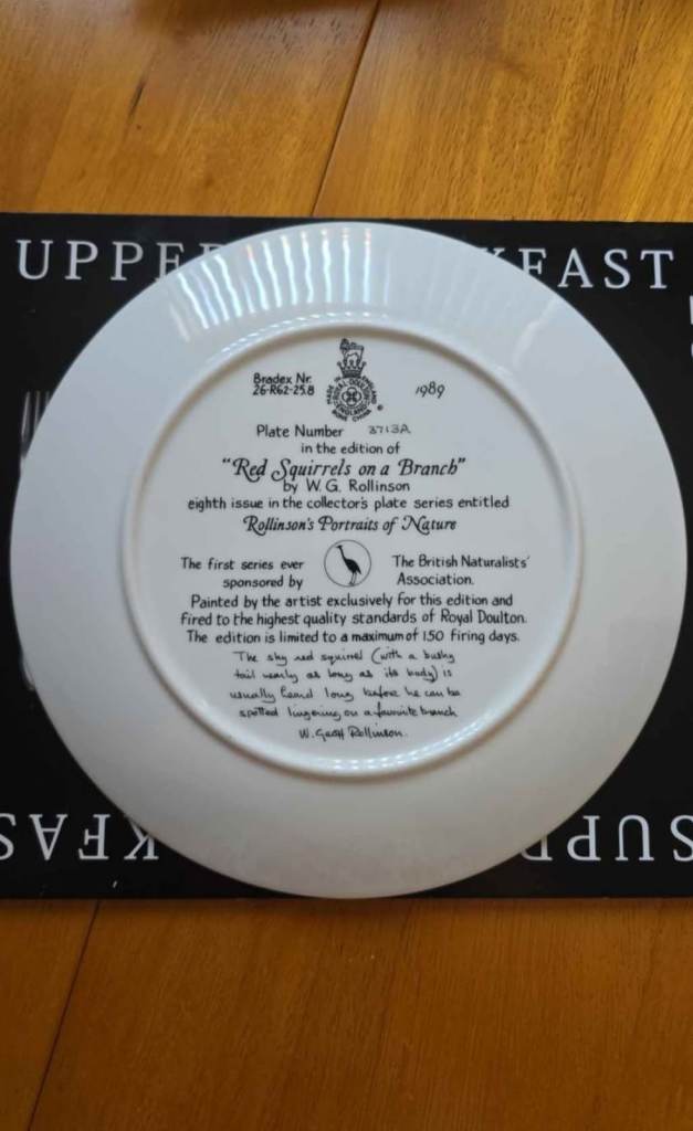 Royal Doulton 'Portraits of Nature' Red Squirrel Collector's Plate | in ...