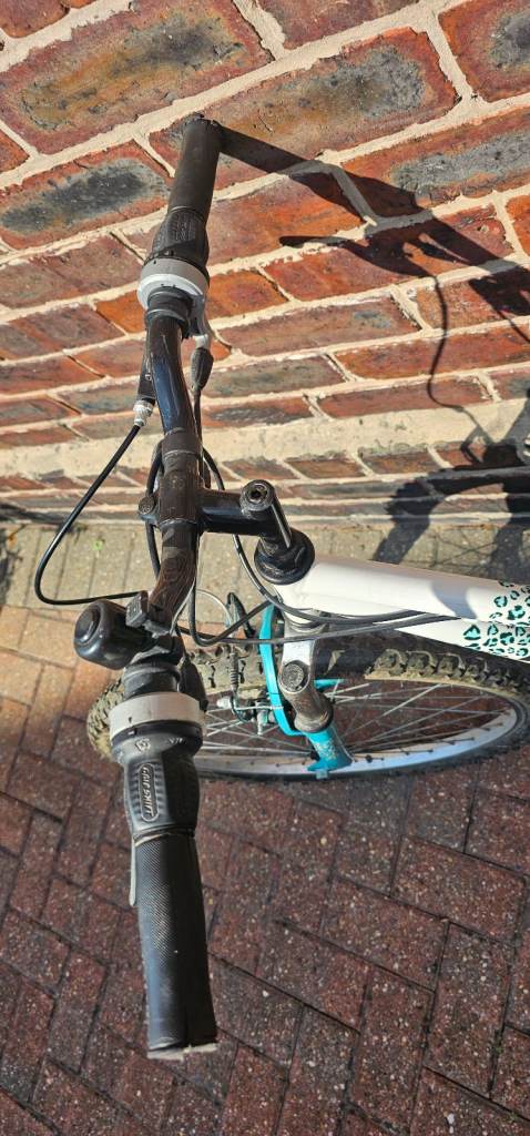 Apollo vivid 24" wheels junior girls mountain bike | in Ossett, West ...