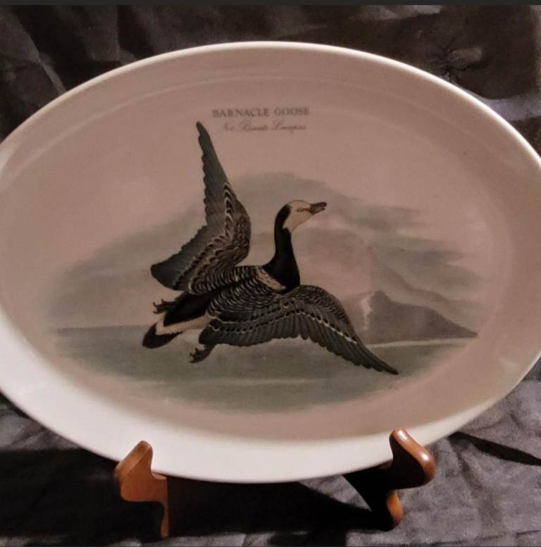 PORTMEIRON BIRDS OF BRITAIN 32 cm Long OVAL PLATE/PLATTER - 'BARNACLE ...