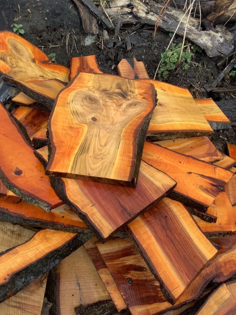 Plum Board,Wood Timber,Fresh cuts. | in Ely, Cambridgeshire | Gumtree