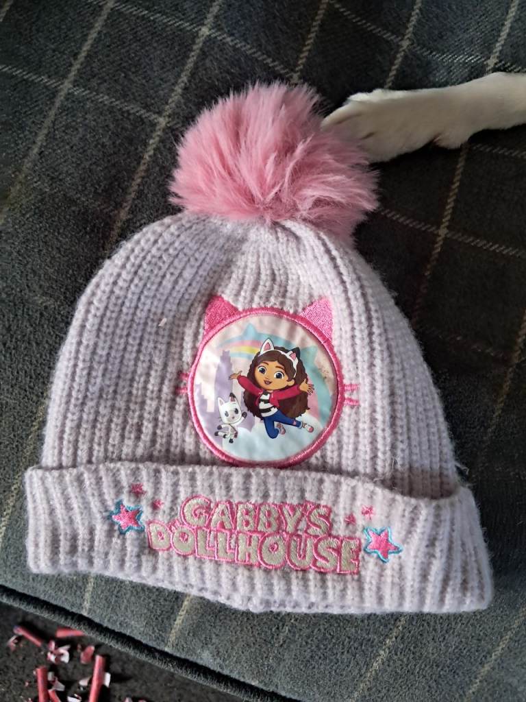 Gabby's Dollhouse girls Age 3-5 | in Wigston, Leicestershire | Gumtree
