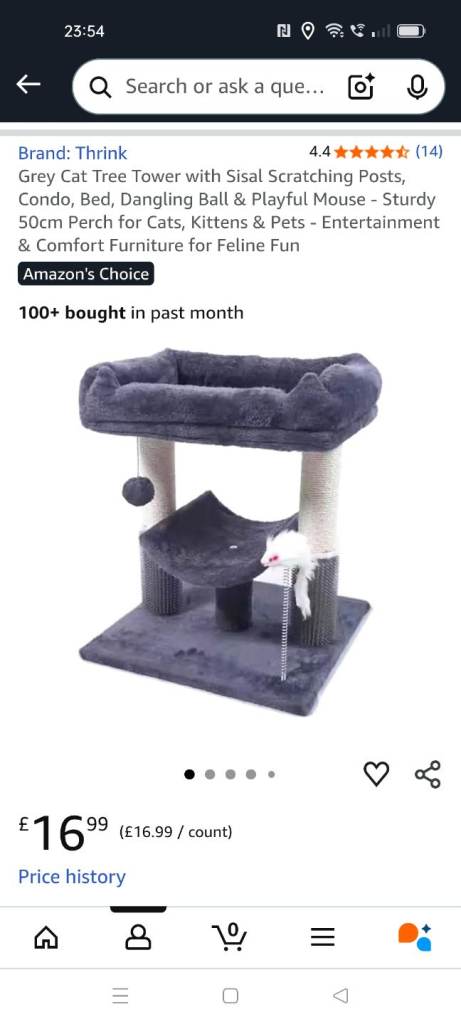 Pets in Emerson Valley - UK Free Classifieds - Buy & Sell on Adjoy.uk