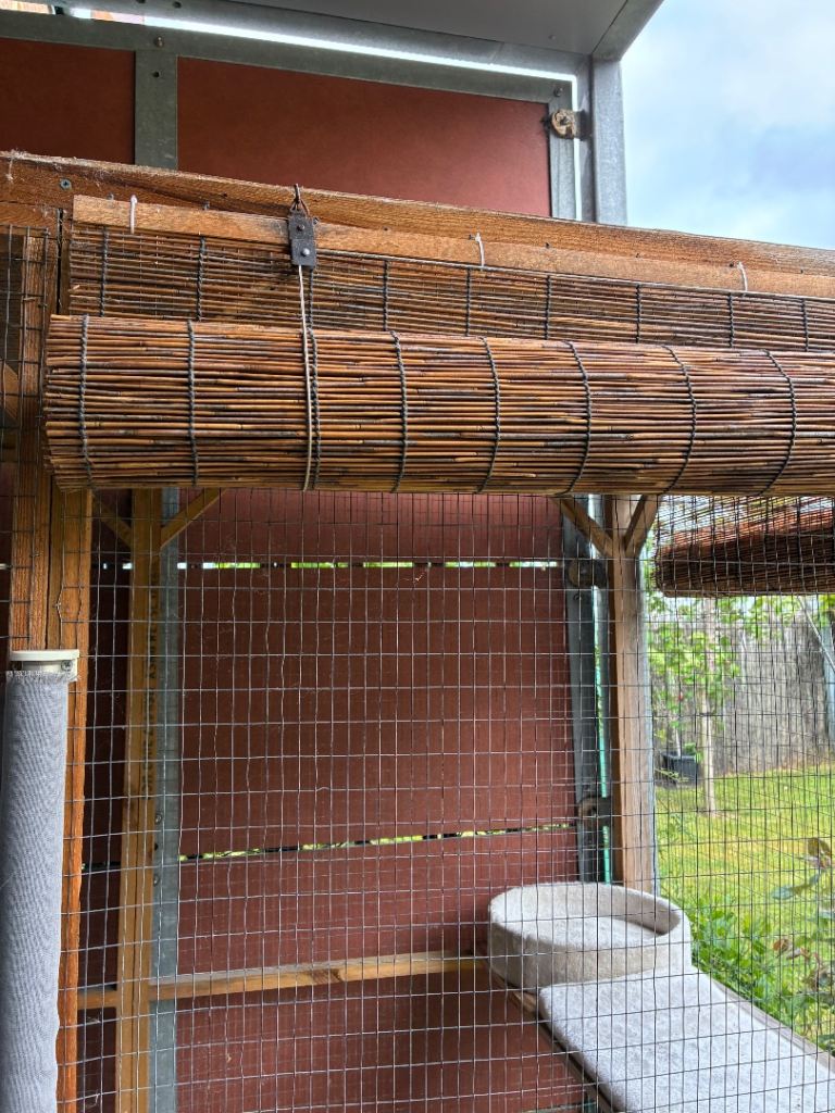 Catio | in Gilmerton, Edinburgh | Gumtree