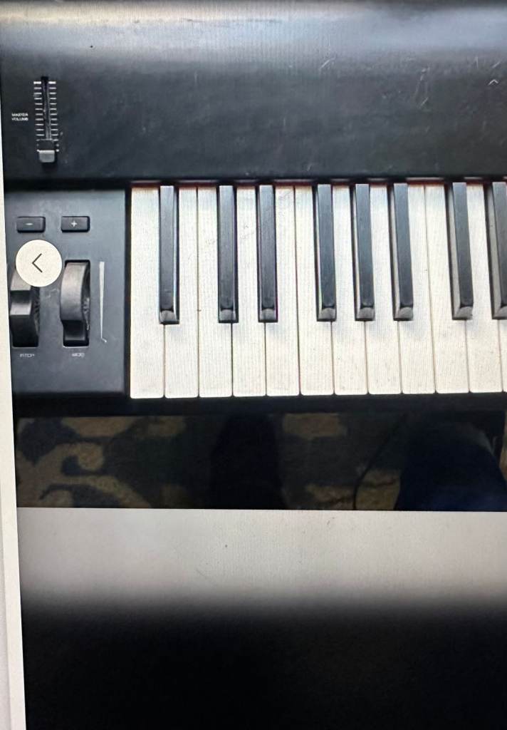 M-Audio Hammer 88 Weighted Keyboard + Stand, Pedal, & Carry Case ...