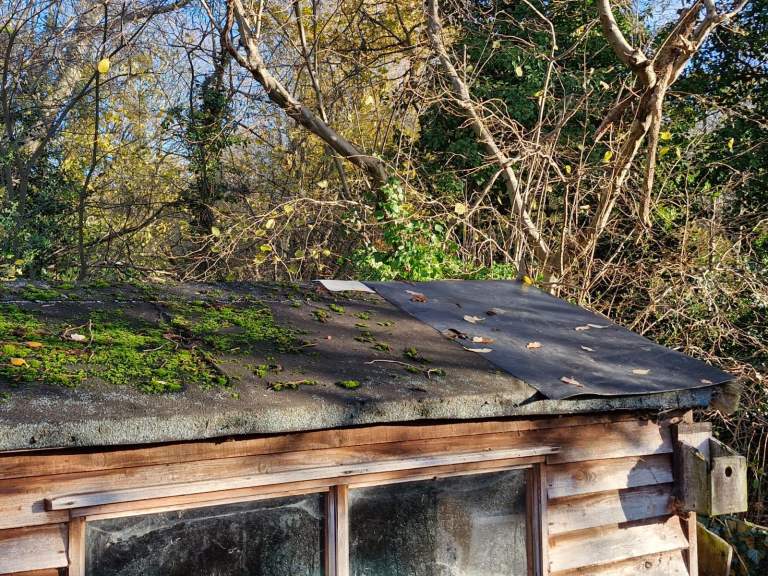 Used Second Hand Garden Shed 8ft x 6ft - must dismantle and collect ...