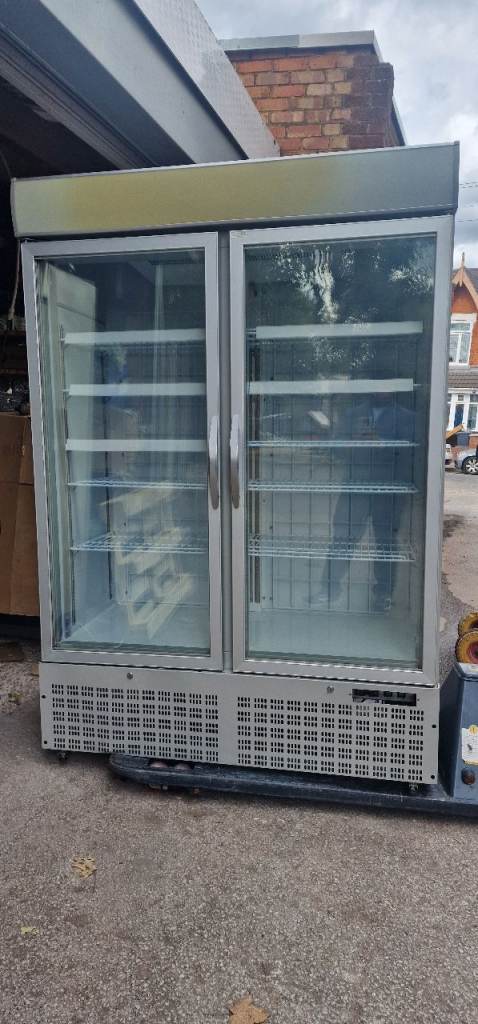 LOWE COMMERCIAL DOUBLE DOORS DISPLAY FREEZER WITH LED LIGHTS FULLY ...