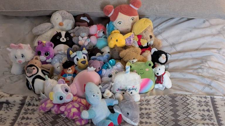 Kids teddy's , £123,456,789.00 for Sale in Poole, Dorset | Gumtree