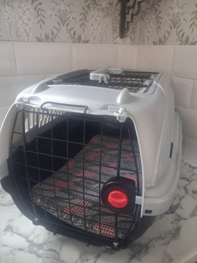 Pet animal cat puppy transporter cage | in Hull, East Yorkshire | Gumtree