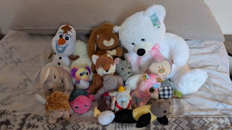 Kids teddy's , £123,456,789.00 for Sale in Poole, Dorset | Gumtree