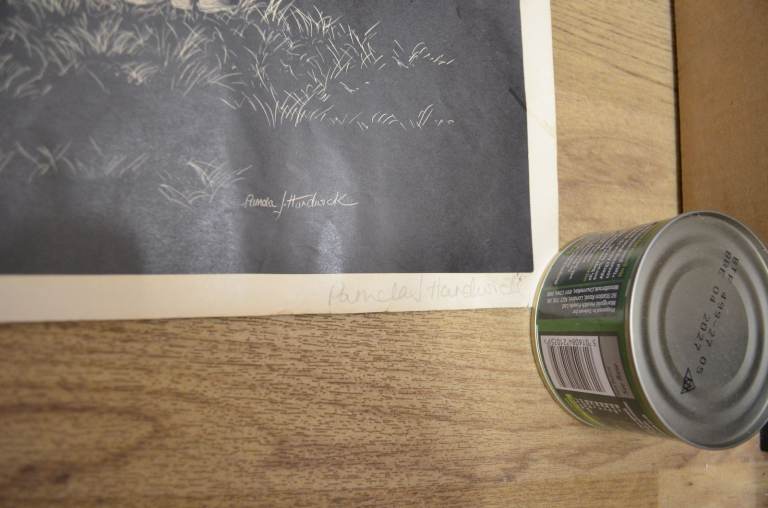 SIGNED RARE print highland cow vintage PAMELA HARDWICK TOMATIN ...