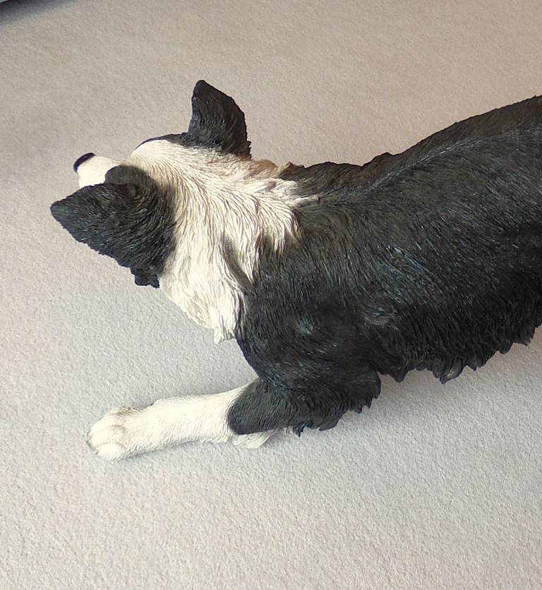 Real Life Resin Sheepdog | in Newcastle, Tyne and Wear | Gumtree