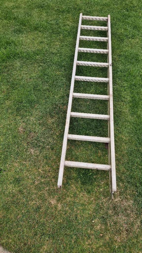 10 rung lightweight alloy ladder, 2m length,also has scaffold hooks on ...