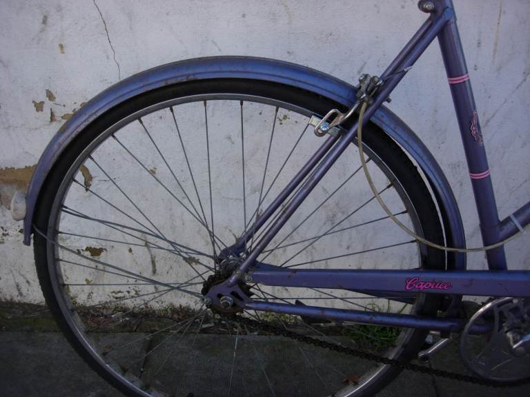 Single Speed Commuter/ Town Bike by Raleigh, Purple, JUST SERVICED ...